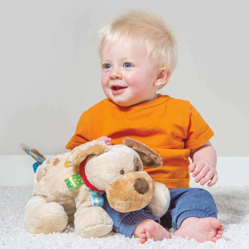 Buddy Dog Soft Toy – Funky Gifts NZ