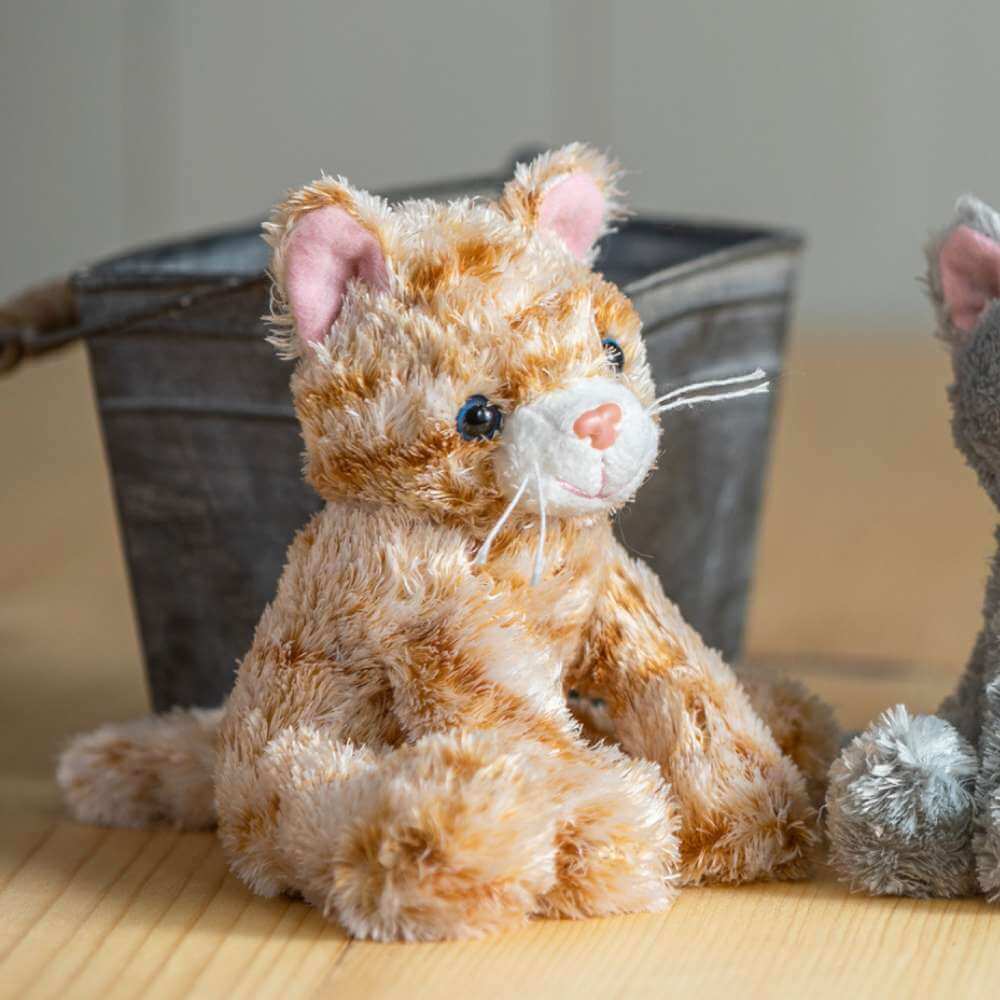 Catsy Kitty Ginger Cat – Funky Gifts NZ