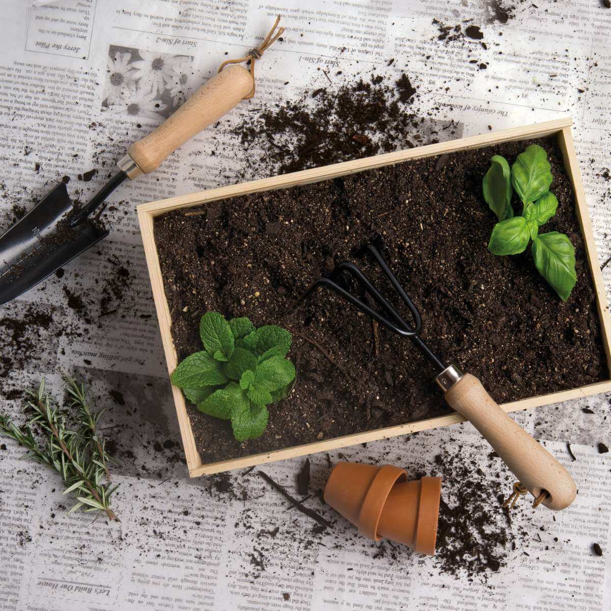Dig It Garden Box – Funky Gifts NZ
