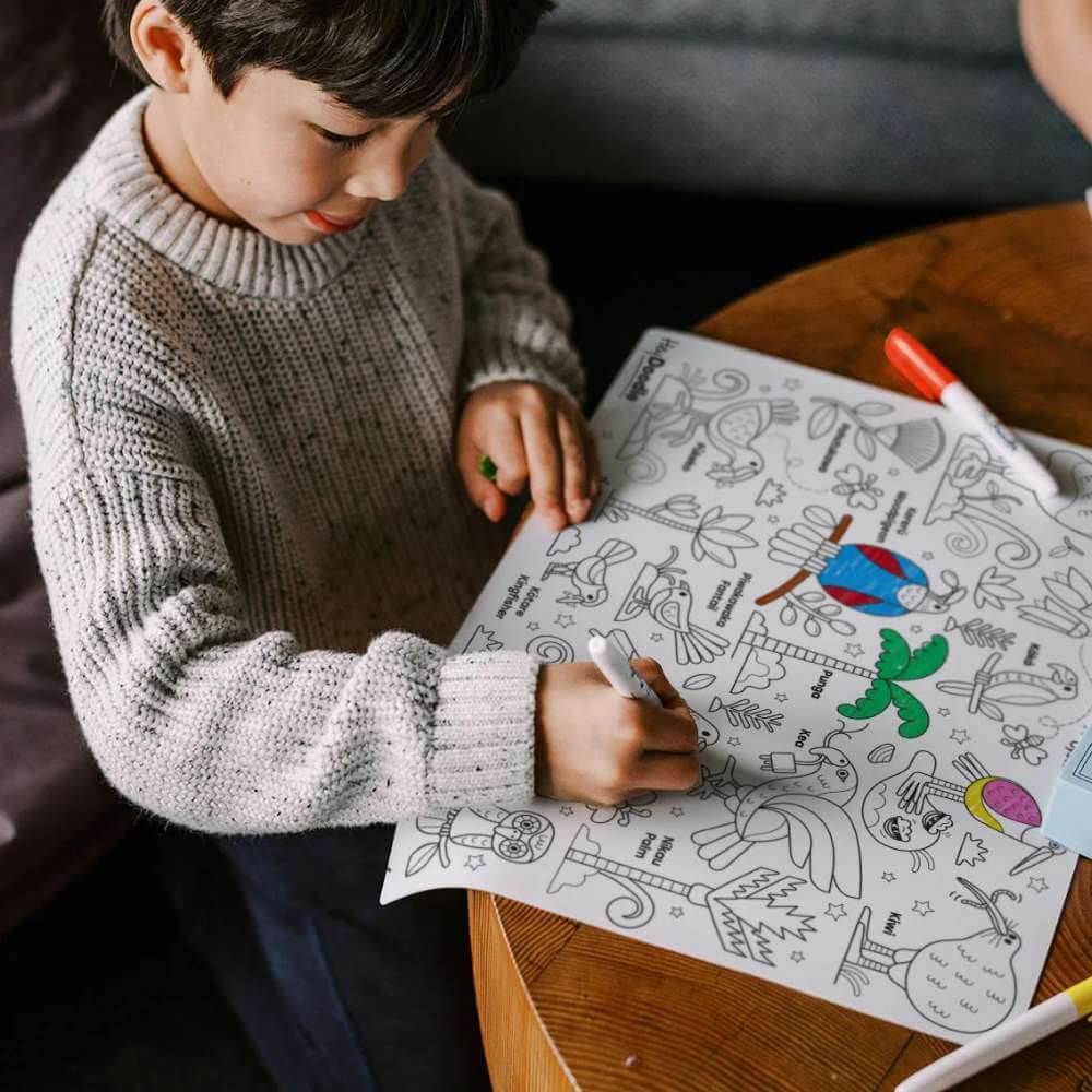 Hey Doodle - Wild of Aotearoa Large Playmat – Funky Gifts NZ