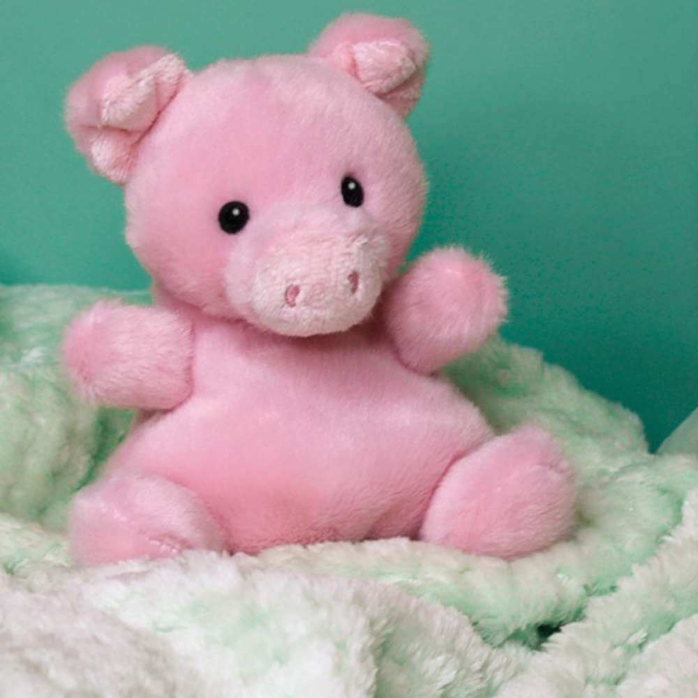 Palm Pals - Wizard Pig – Funky Gifts NZ