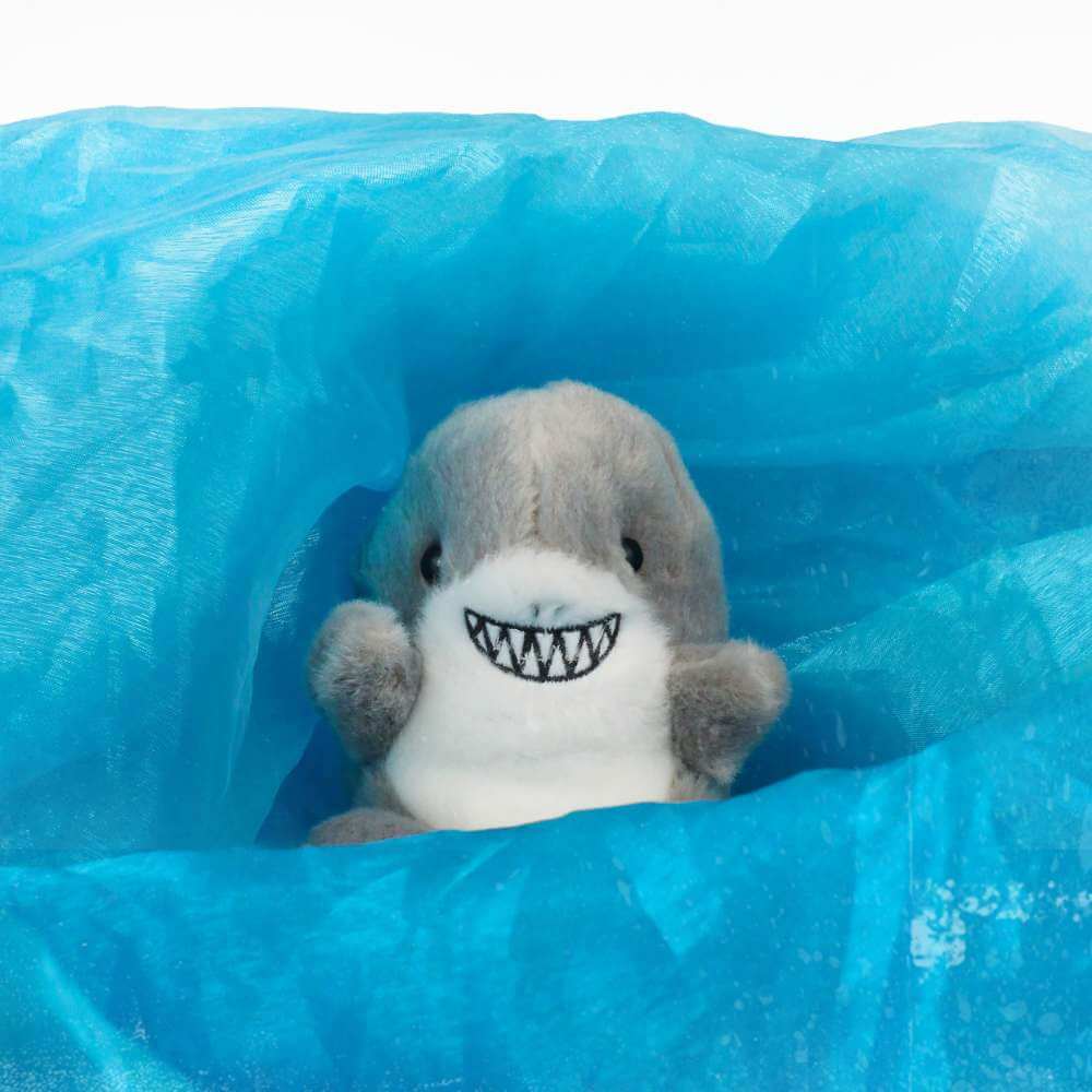 Palm Pals - Chomps Shark – Funky Gifts NZ