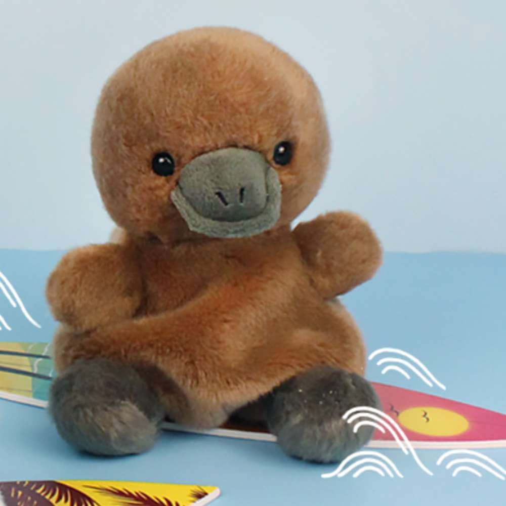 Palm Pals - Patty Platypus – Funky Gifts NZ
